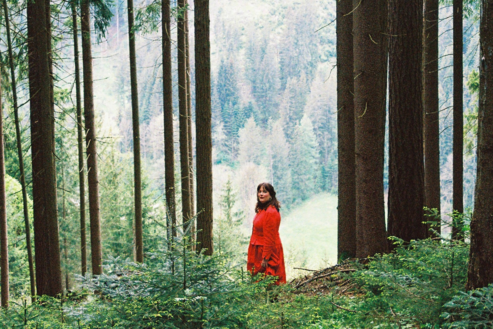 Competition to Win Tickets to A Stone's Throw Music Festival in North Shields With Lanterns On ...